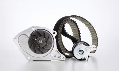 Timing belt Kit replacement: how to do it | Industrias Dolz