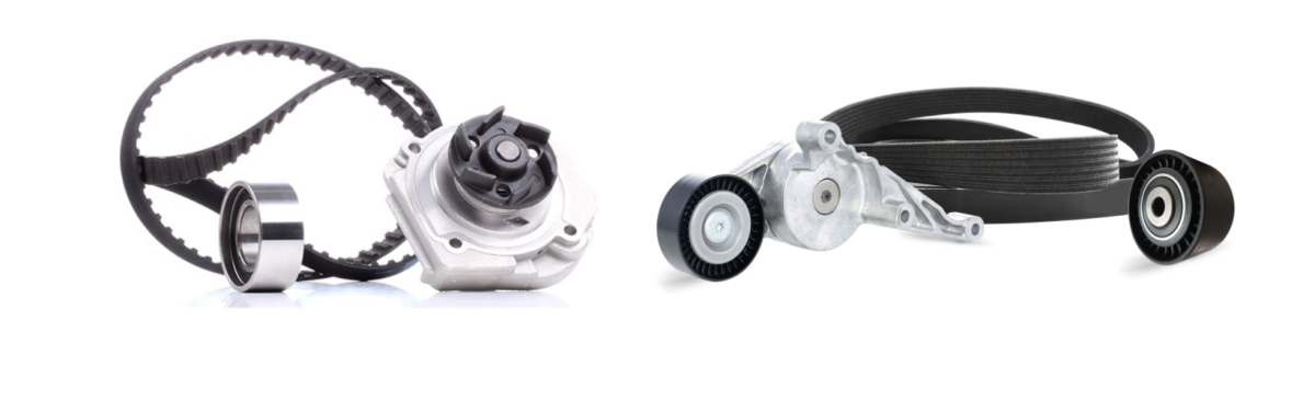 Types of transmission belts and main differences | Industrias Dolz