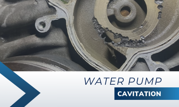 An overview to pump impeller cavitation | Industrias Dolz